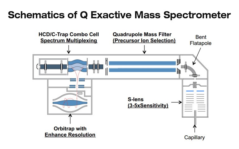A Complete Workflow Solution for Intact Monoclonal Antibody Characterization Using a New High ...