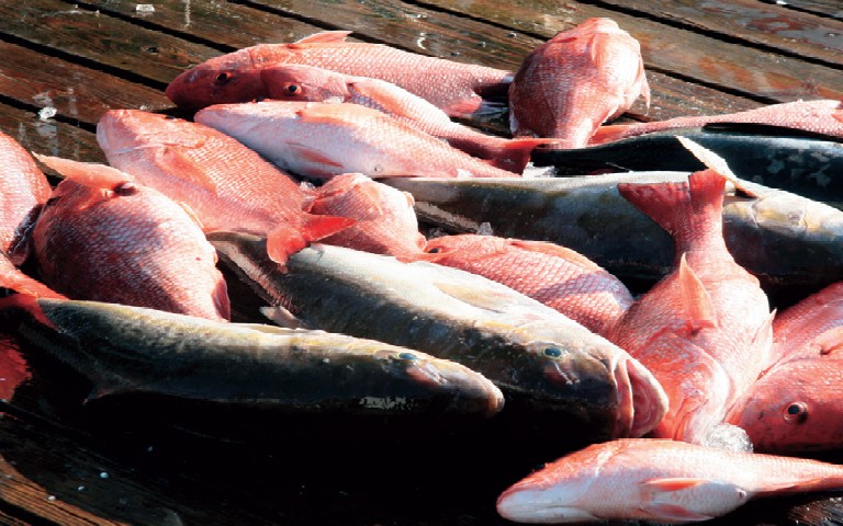 Determination of Polycyclic Aromatic Hydrocarbons (PAHs) and Aliphatic ...