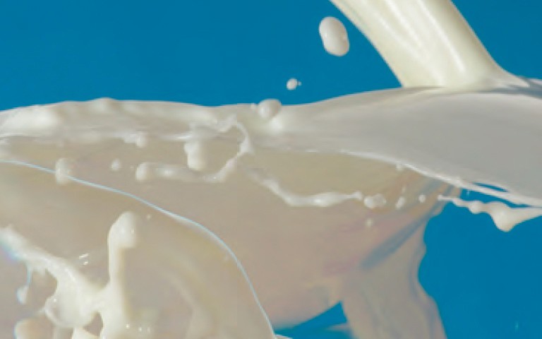 Potassium in Milk Proteins Potassium in Milk Proteins