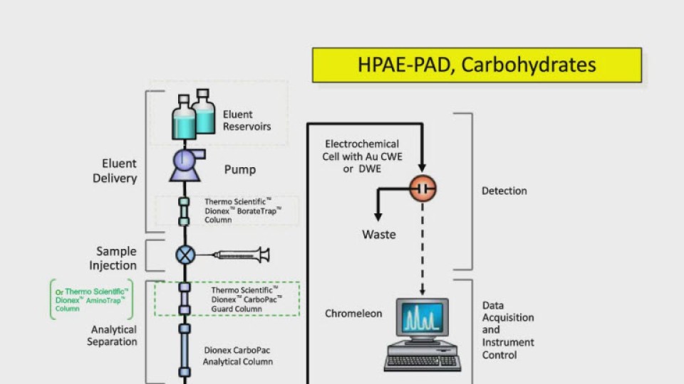 Tips and Tricks for Carbohydrate Analysis Using HPAE-PAD