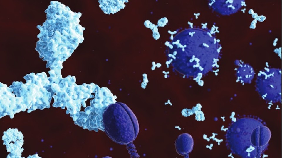 more-reliable-peptide-mapping