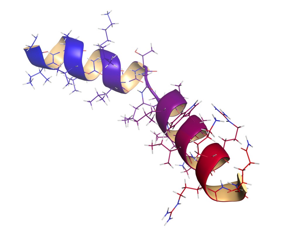 A Brief History Of And Guide To Peptide Mapping