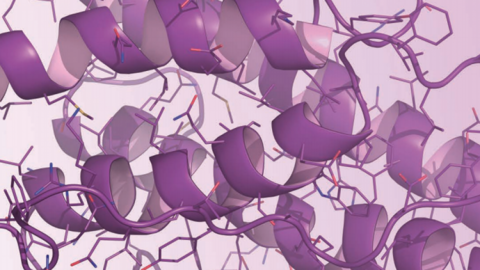 High precision Automated Peptide Mapping Of Proteins